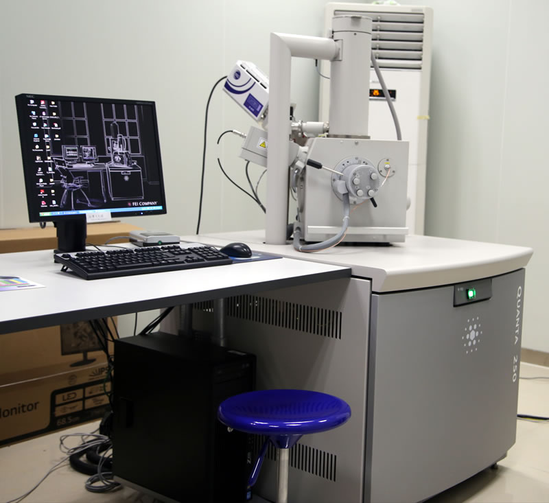 SCANNING ELECTRON MICROSCOPE – Shenzhen Juxin Testing Laboratory